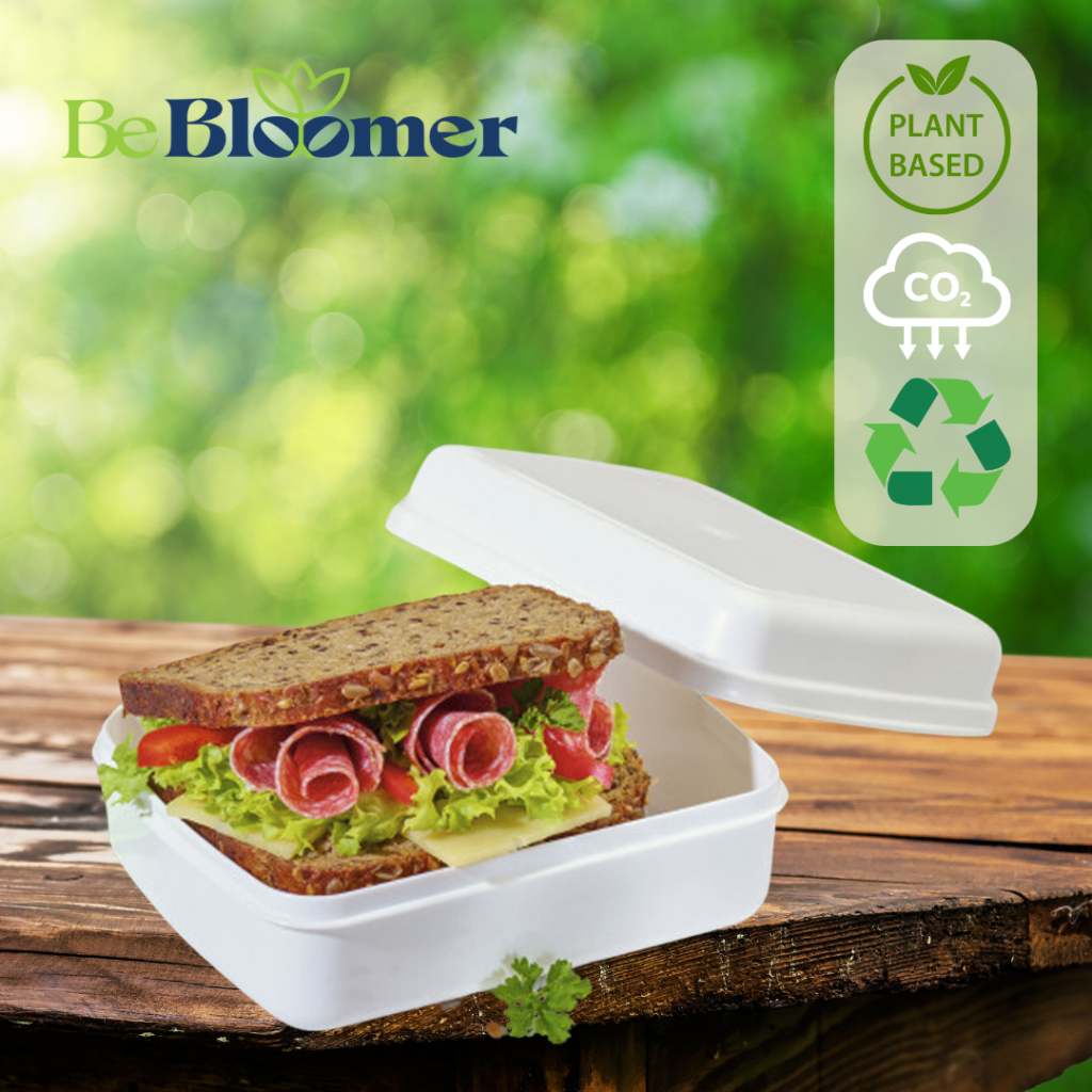 Bio Snack-Box "Lunch" - Be Bloomer